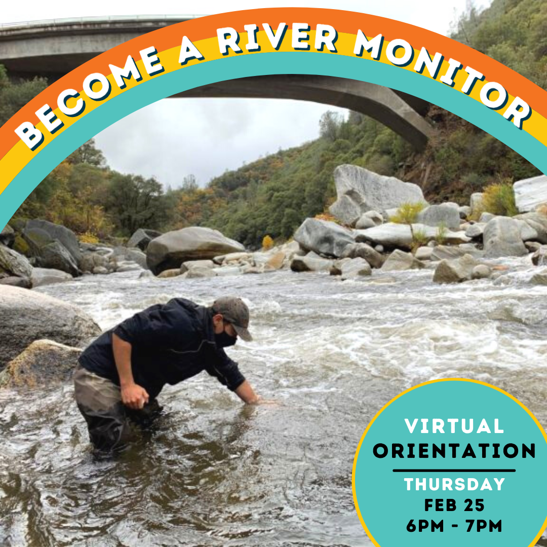 River Monitoring: A Wrap for 2020 and Beginning Anew in 2021 • SYRCL