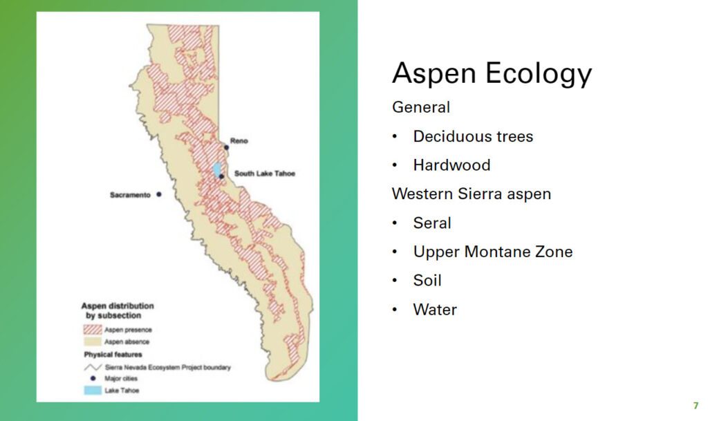 Aspen Regeneration • SYRCL