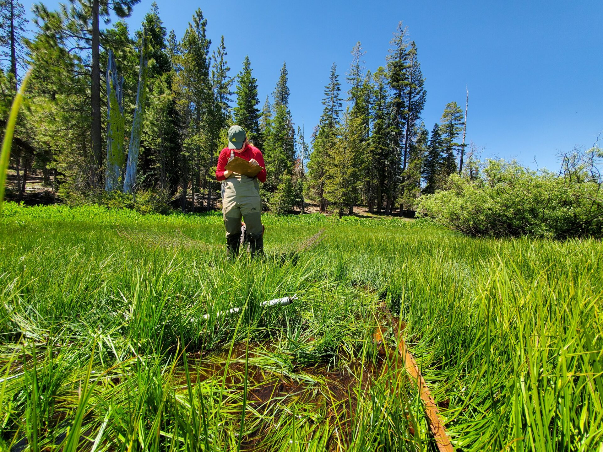 SYRCL was back at Loney Meadow • SYRCL