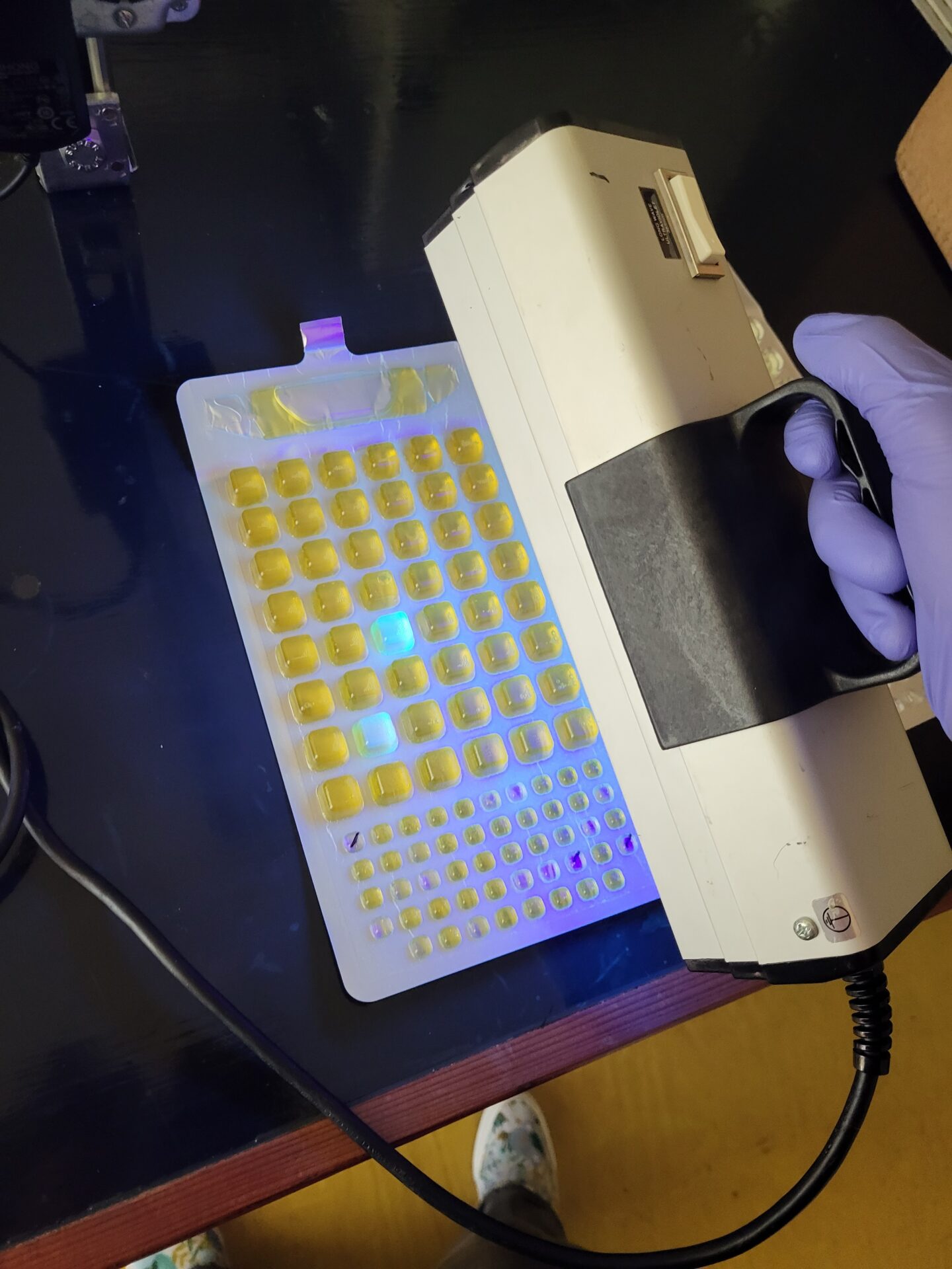 SYRCL's 2023 Watershed Science Field Season in Photos • SYRCL